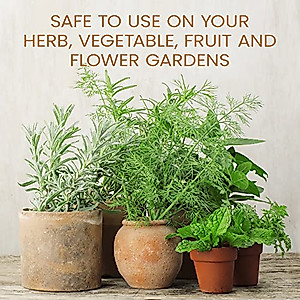 Purived Liquid Fertilizer for Indoor Plants | 20oz Concentrate | Makes 50 Gallons | All-Purpose Liquid Plant Food for Potted Houseplants | All-Natural | Groundwater Safe | Easy to Use | Made in USA