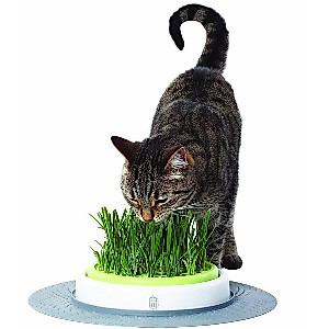 Catit Senses 2.0 Cat Grass Planter, Interactive Cat Toys