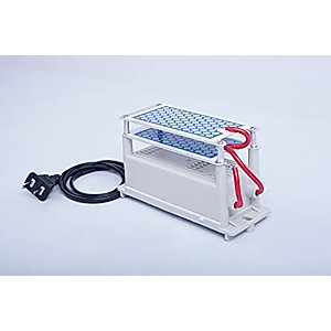Ozone Generator air purifier 10000 mg/h Equal to 10g/h ozone plates ozone maker machine 110V