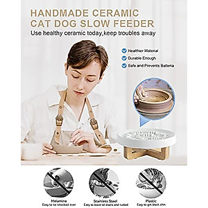 Raised Cat Dog Slow Feeder Bowl with Stand, Cat Bowls for Slow Eating, Ceramic Elevated Slow Feed Cat Bowls, Pet Bowl for Cat and Dog, Cat Puzzle Feeder for Healthy Eating Diet, 3'' High, 8.5'' Wide