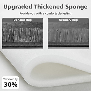 Ophanie Small Area Rug, 2x3 Machine Washable Throw Grey Cheap Fluffy Shaggy Soft Bedside Rug, Indoor Floor Gray Carpet for Kids Baby Boys Teen Dorm Room Doorway, Nursery,Home Decor Aesthetic