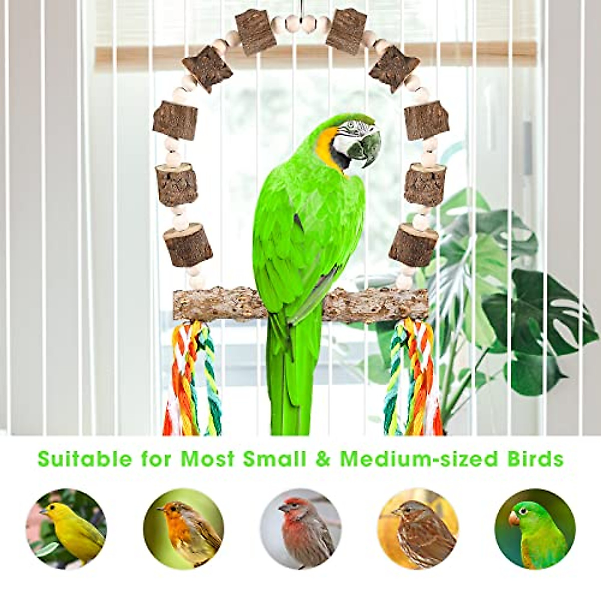 PRAZONVEE Bird Swing 7.8", Bird Perch Stand, Natural Wood Cage Accessories, Hanging Swing Bird Toys Suitable for Parrotlets Budgies Cockatiels Parakeets Lovebirds