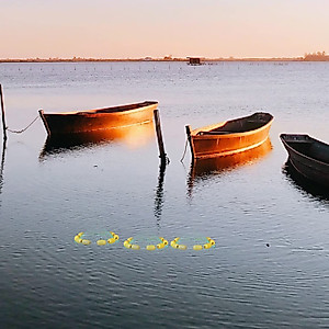 Happyyami Folded Fishing net Bait: Crawling Crab Baby Toy Fish Basket Collapsible Portable Fish cage for Crayfish Crab Fishing Accessories Double Boiler Tool Fishing Boat