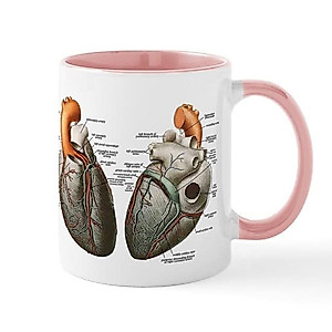 CafePress Anatomy Of The Human Heart Mug Ceramic Coffee Mug, Tea Cup 11 oz