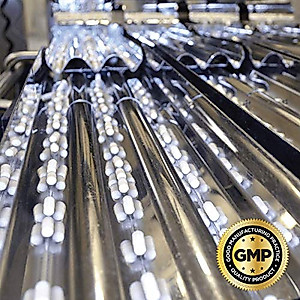 Swanson Real Food Bone Broth Collagen - Chocolate 19.5 oz Pwdr