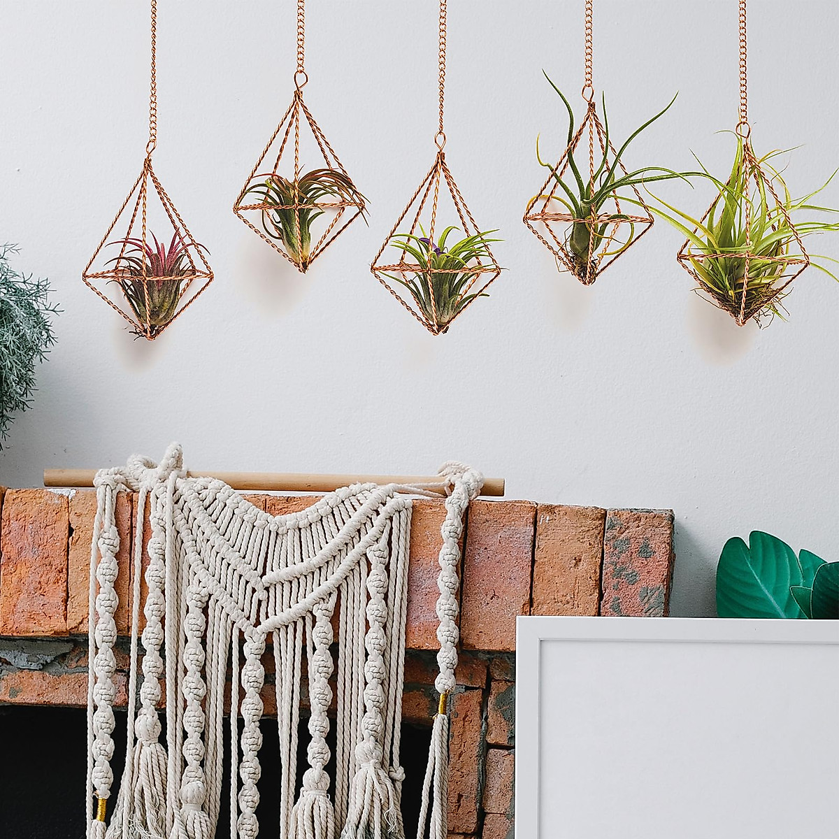 libproqia 5 Pcs Hanging Geometric Air Plants Holders Twisted Metal Airplant Hangers Small Diamond Shape Tillandsia Planter Display with Chains Himmeli Decor for Home and Office,Rose Gold
