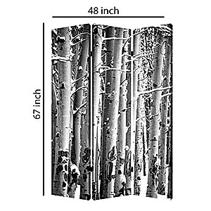 Benjara 3 Panel Canvas Foldable Screen with Birch Print, Black and White