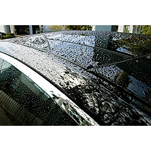 APEC Spot Free Water Deionization Car Wash System CWS-300