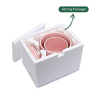 POTEY 053206 Ceramic Planter Pots - Glazed Modern Planters Flower Pot Indoor Bonsai Container with Drainage Holes & Saucer for Plants Aloe(5.1 + 4.2 Inch, Shiny Pink, Set of 2, Plants Not Included)