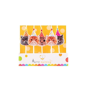 Merrymelting Merry Melting Birthday Candle for Cake Topper (cat Birthday Candle)