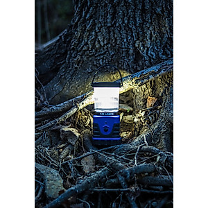 Stansport 500 Lumen Lantern with SMD Bulb, Blue/Black, one Size