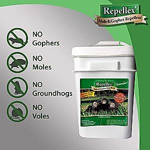 Mole/Gopher Repellent, 24 lb.