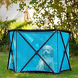 Dream On Me Olivia Ready-to-Go Playard, Light Blue