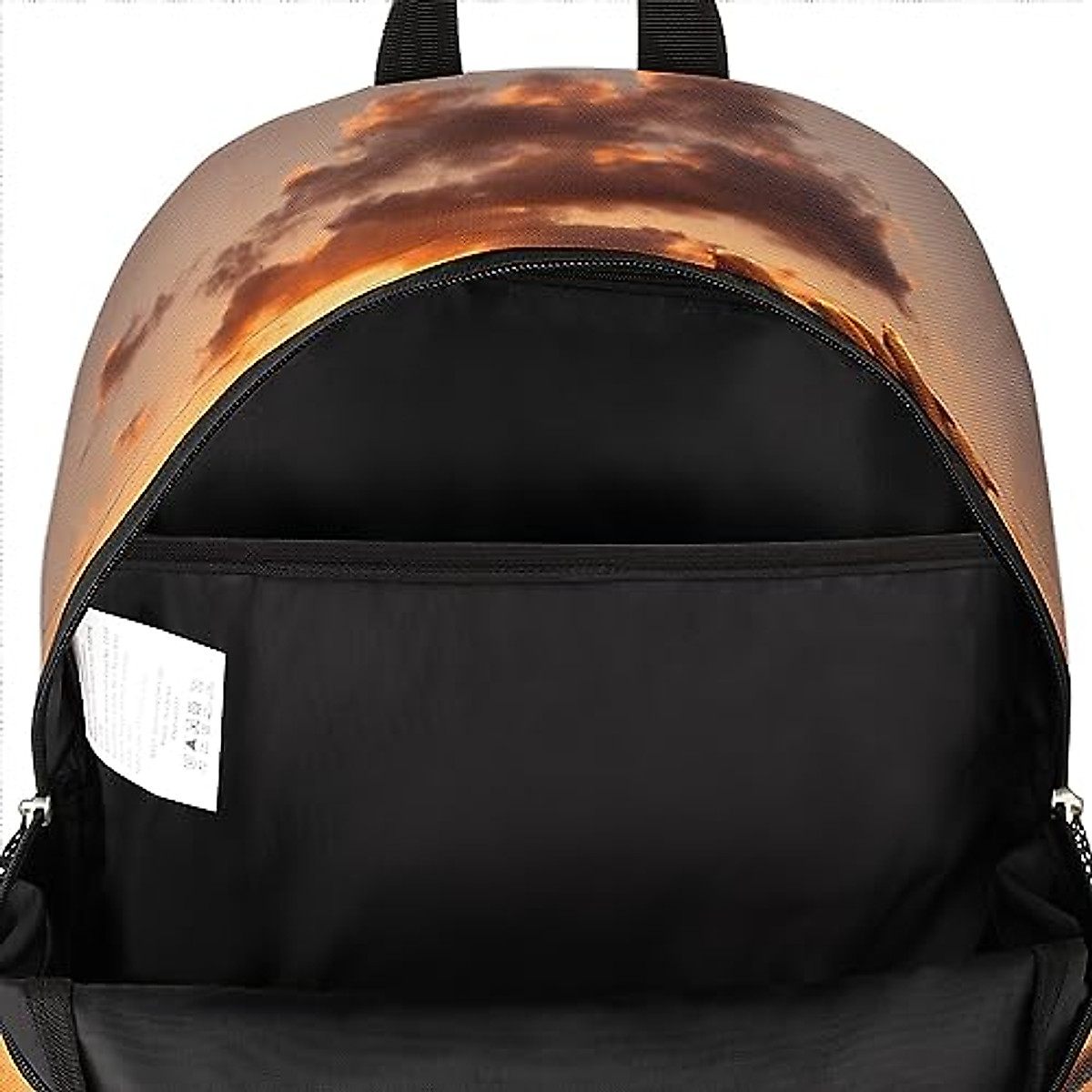 Yzrwebo Dolphins Backpack for Women Men Ocean Animal Dolphin Lightweight Backpack with Multiple Pockets Laptop iPad Tablet Travel Sports Bag Casual Daypack Backpack Adjustable Shoulder Straps