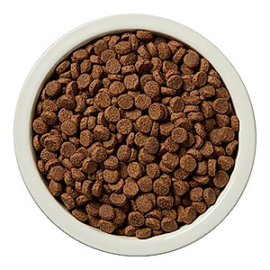 Amazon Brand - Wag Dry Dog Food Lamb & Lentil Recipe, 4 lb. Bag