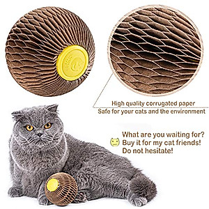 AREIIA Catnip Ball Toy for Cats Catnip Refillable Scratcher Ball Kitty's Faithful Playmate Reduce Obesity and Loneliness CSB01BR