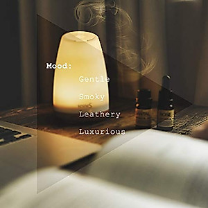 sesneslabs Santal Diffuser Oil, Niche Scent, Amber Coco Vanilla Cedar Sandalwood Musk Essential Oils Blend for Ultrasonic Diffuser Scent Projects(.33 oz/10 ml)