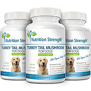 Nutrition Strength Turkey Tail Mushroom for Dogs to Support a Strong Immune System, Promote Gut Health, Antioxidant Activity & Inflammatory Relief, Reduce Fatigue & Boost Stamina, 120 Chewable Tablets