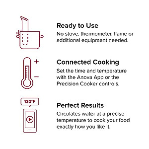 Anova Culinary (ANOVA)ᴿᴱᴰ Precision Cooker Nano, Black, Small