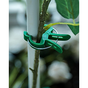 Plant Clips 80 Piece-Garden Clip Plant 2 Sizes Reusable Tomato Clip, Multipurpose Plant Vine Clips for Roses, Sturdy Cucumbers Orchid Clips Plant Support Adjustable Clips Green(30 Large + 50 Small)