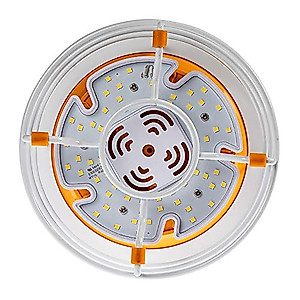 LB74101 100W LED Temporary Work Light 5000K 12500Lm Outdoor Corded Portable Lights with Stainless Steel Guard & Hook for Mine Wharf Job Site Lighting,IP65 Dust Waterproof,Plug-n-Play