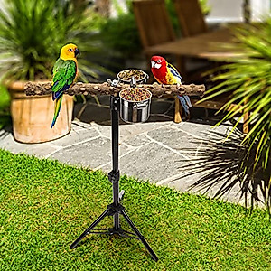 Adjustable Height Bird Perch Stand 43 INCH Parrot Training Perches Metal Bird Play Stand with Feeding Bowls for Small Birds Indoor and Outdoor
