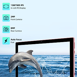 2 in 1 Tablet with Keyboard Case Mouse Stylus Pen Film, 10 inch Tablet Android 11.0 Tablets PC Set, 4GB RAM+64GB ROM Tableta Computer 10.1" IPS Screen 8MP Dual Camera WiFi BT Google Play Tab Pink/Girl