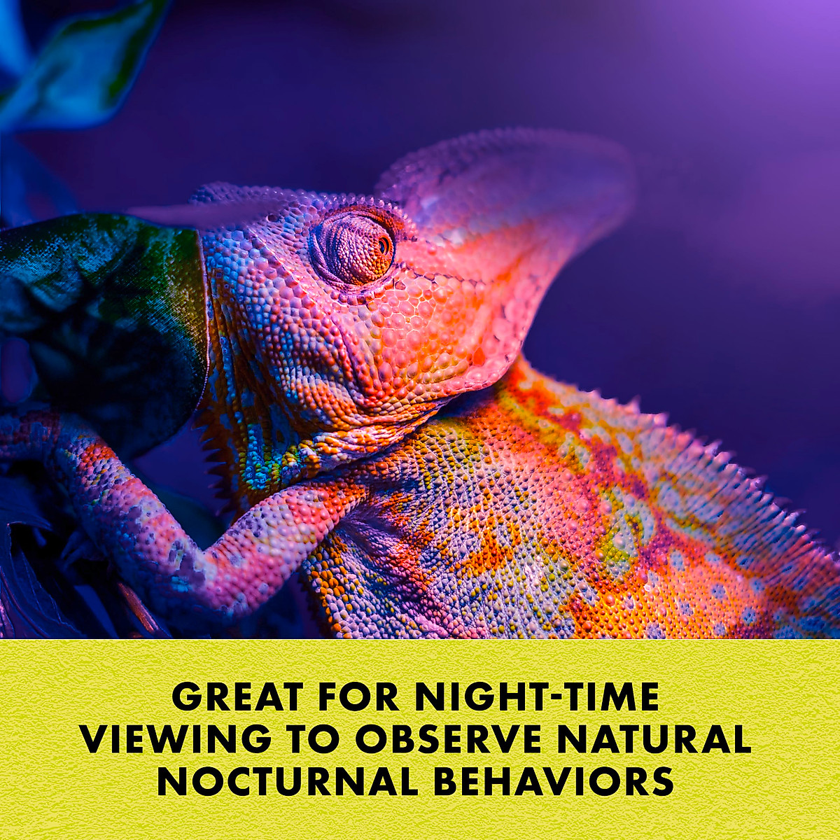 Zilla Incandescent Spot Bulb, for Nocturnal Reptile Species, Night Black