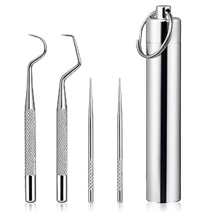 Worldity 5Pcs Reusable Toothpick, Portable Metal Toothpick, Professional Teeth Cleaning Tools, Dental Picks with Toothpick Holder and Key Ring for Travel Picnic Camping