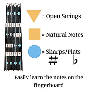 Fantastic Finger Guide for Violas | Stringed Musical Instruments | Fingerboard and Fretboard Stickers for Learning All Notes | Kids/Adult Beginner Viola Finger Guide |15.5" Size