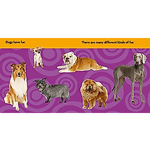National Geographic Kids Look and Learn: Dogs (Look & Learn)