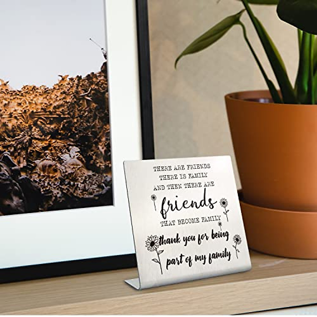 Friendship Gift for Women Friend Gifts for Your Best Friend Going Away Gifts Plaque for Coworker Women Stainless Steel Retirement Gifts Birthday Gifts for Woman Friendship Keepsake Decor