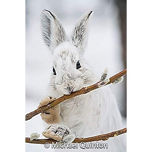 Sierra Club Engagement Calendar 2021