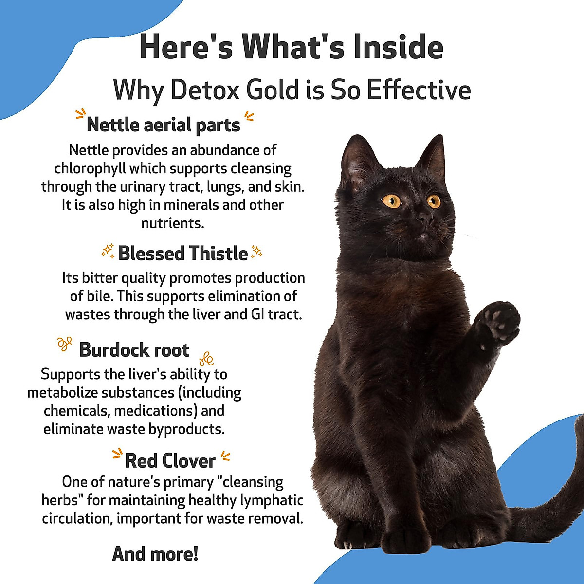 Pet Wellbeing Detox Gold for Cats - Vet-Formulated - Gentle Detoxification & Elimination Support - Natural Herbal Supplement 2 oz (59 ml)