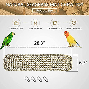 Bird Seagrass Mat,Natural Seagrass Woven Net Bird Foraging Chew Wall Toys Parakeet Hammock Mat with Hooks for Lovebird Cockatiel Conure Budgie,Size 28.3" X 6.7" and 11.81" X 11.81"(2 Pcs)