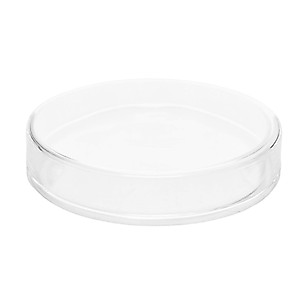 EISCO Petri Dish - 90 x 15mm - Soda Glass