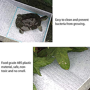 WINGOFFLY Large Reptile Feeding Dish with Ramp and Basking Platform Plastic Turtle Food and Water Bowl Also Fit for Bath Aquarium Habitat for Lizards Amphibians