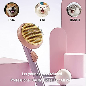 ZALER Cat Brush Self Cleaning Slicker Brushes, Pet Pumpkin Brush for Shedding and Grooming, Dog Brush for Short and Long Haired Dogs, Gently Remove Loose Undercoat, Mats Tangled Hair (Purple, 1piece)