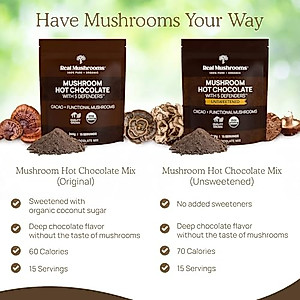 Real Mushrooms Organic Hot Chocolate Mix with 5 Defenders Turkey Tail, Chaga, Maitake, Shiitake, Reishi Mushroom - Cacao Powder Vegan Supplement, Gluten-Free, 15 Servings
