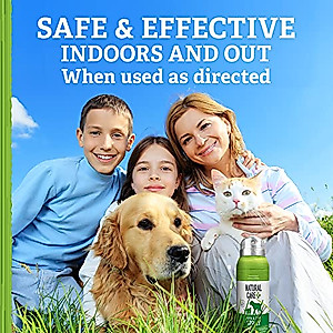 Natural Care Flea and Tick Spray for Dogs and Cats | Flea Treatment for Dogs and Cats | Flea Killer with Certified Natural Oils | 14 Ounces