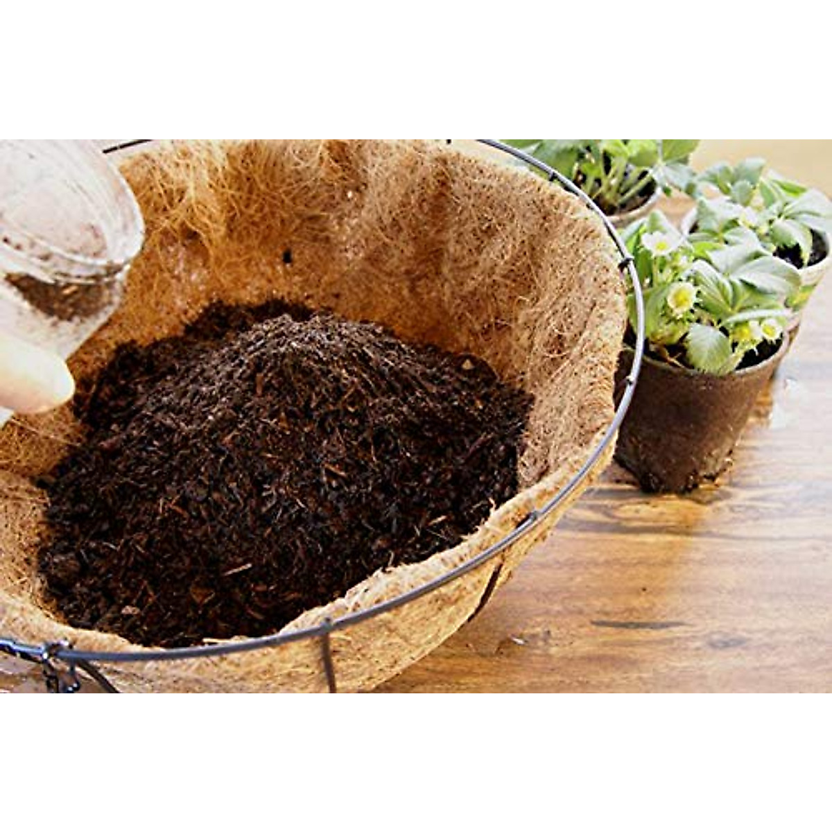 FDGARDEN 2PCS Round Replacement Coco Liner for Hanging Basket, 12 inch Coconut Fiber Plant Basket Liner for Garden Planter Flower Pot (12 inch Round)