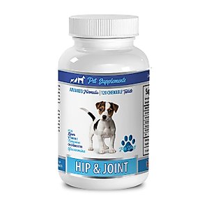 Hip and Joint Supplements - Hip & Joint Support - for Dogs - Chewable - Dog glucosamine Treats - 1 Bottle (120 Chewable Tablets)