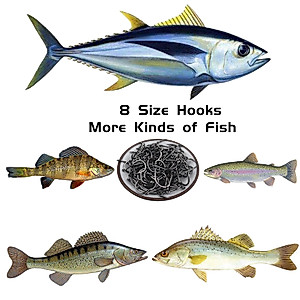 Freshwater Saltwater Bulk Fishing Hooks Set Worm Catfish Hooks Fish Gear Equipment Supplies(800 PCS)