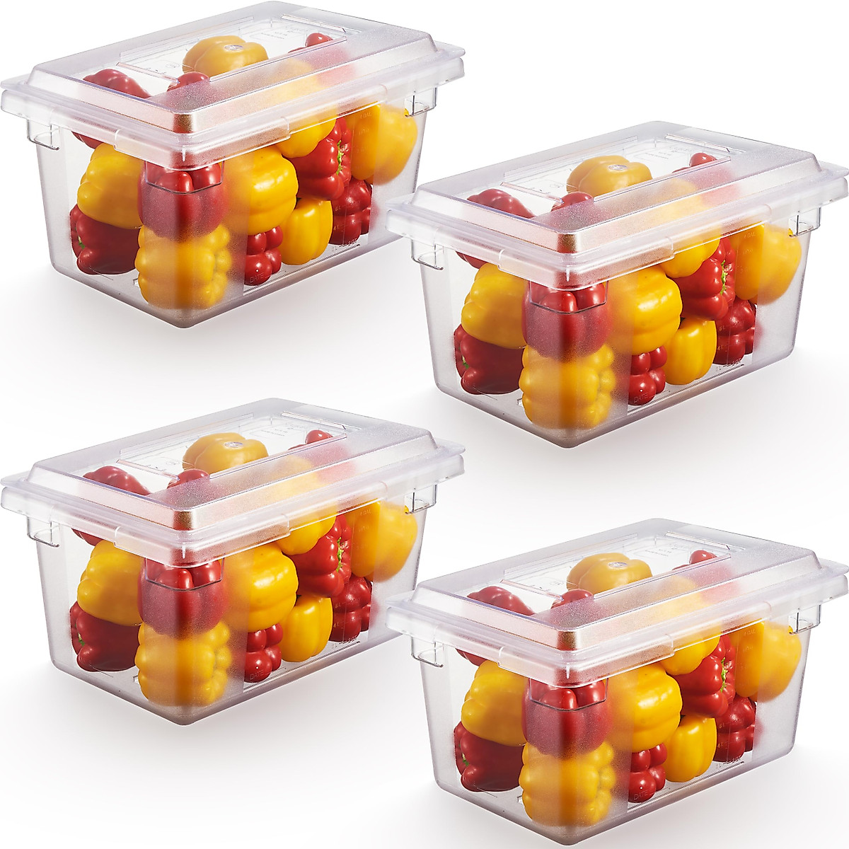 CURTA 4 Pack Food Storage Box with Lid, 5 Gallon - 18" x 12" x 9" NSF Listed Commercial Grade Clear Polycarbonate Container for Commercial Kitchen Restaurant Cafeteria