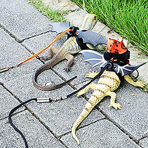 Xuniea 2 Sets Halloween Thanksgiving Bearded Dragon Lizard Leash Harness Hat Set with Halloween Pumpkin Hat, Reptile Harness Leash Black Hat Bowtie Set for Bearded Dragon Lizard Reptile Clothes