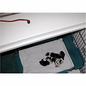 SWEETER HEATER Infrared Heater for Chicks & Pets, Overhead 11x30, 100 Watt