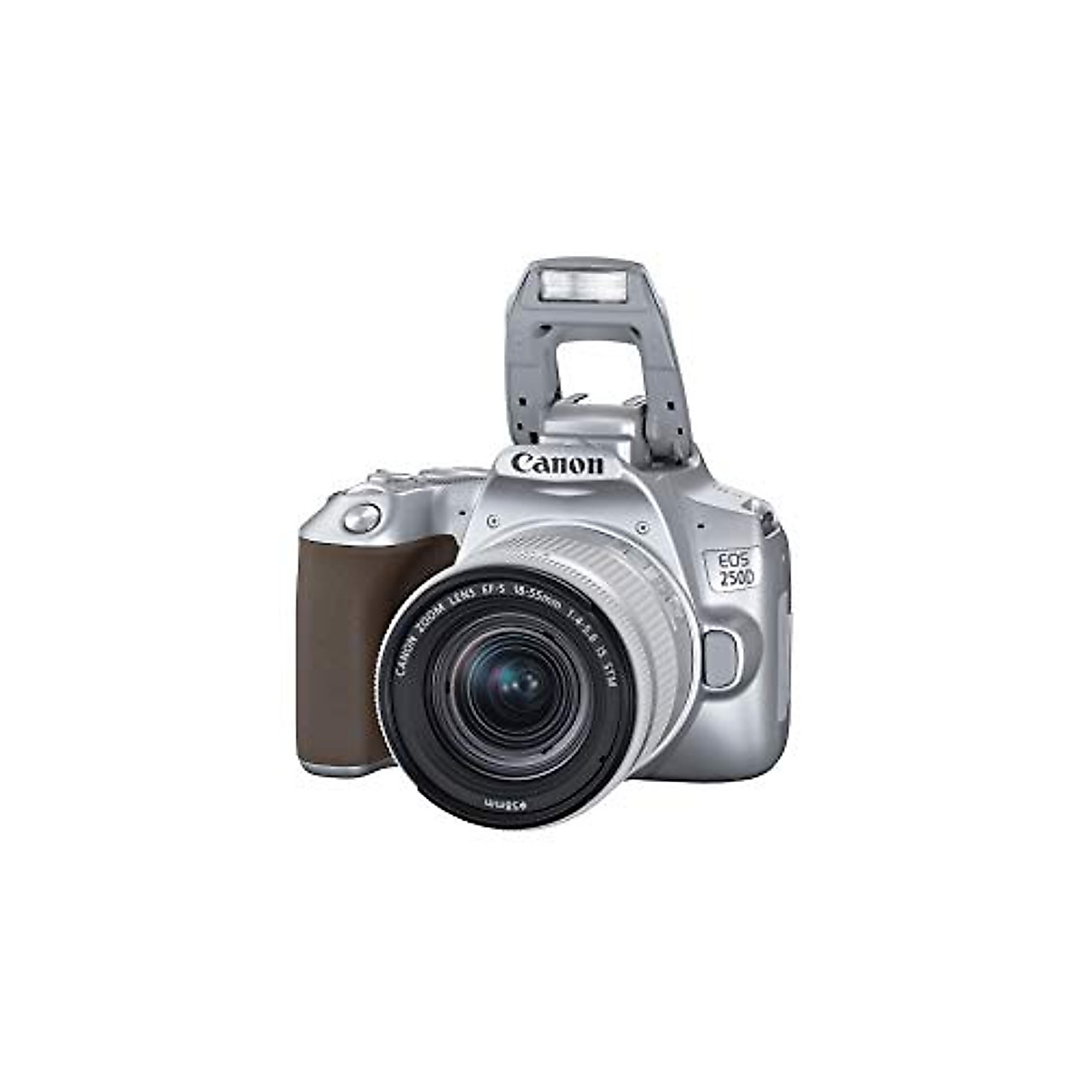 Canon EOS 250D (Rebel SL3) DSLR Camera w/ 18-55mm is STM Lens (Silver) (International Model) (Renewed)