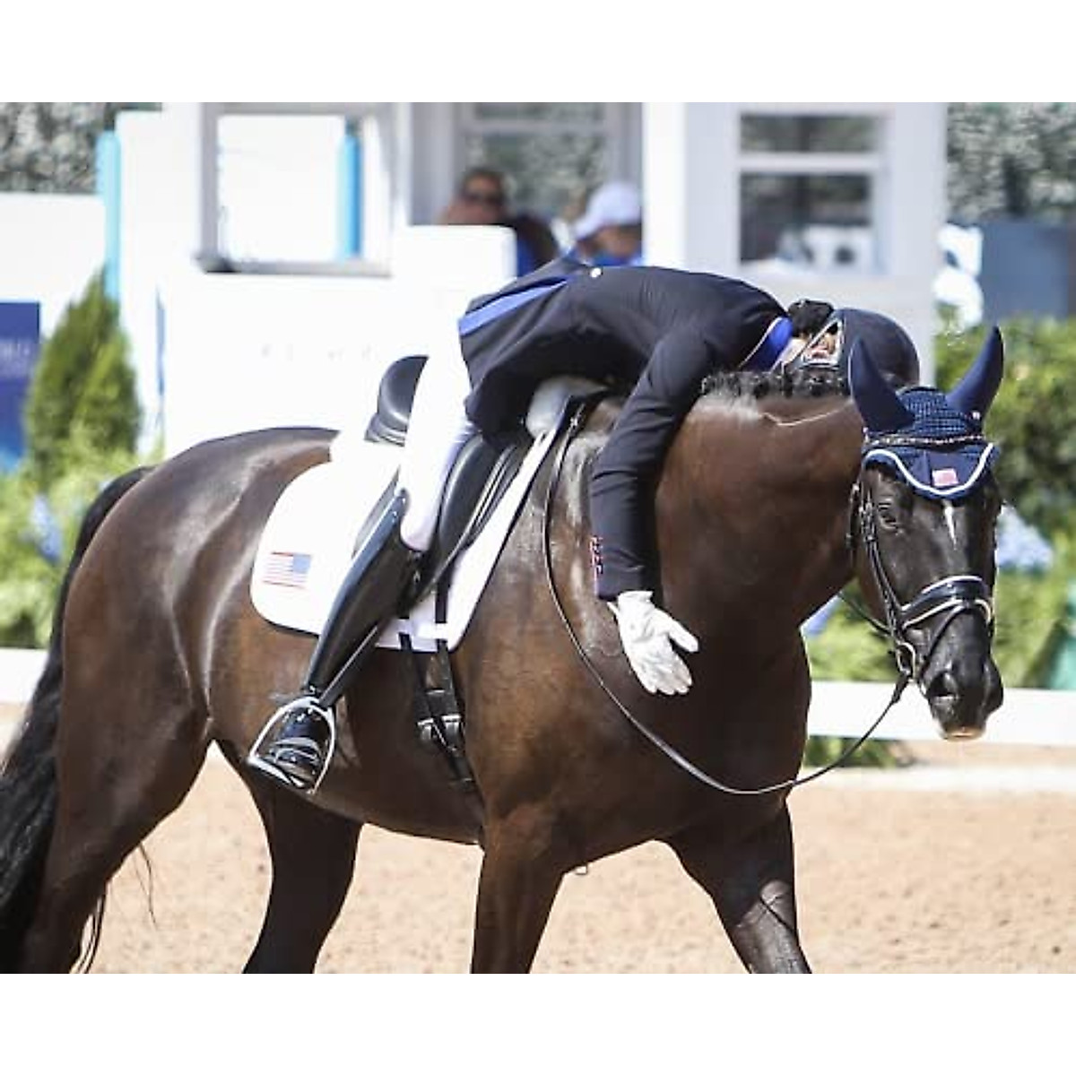 Plughz Horse Sound Off Ear Net, Soundless Bonnet (Grey)