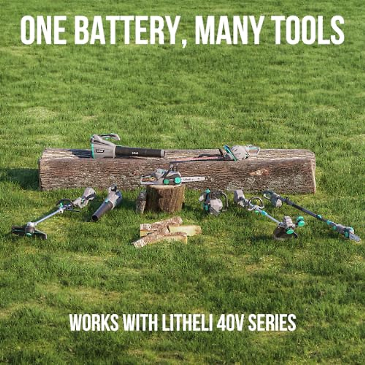 Litheli 40V 4.0AH Lithium Ion Battery Pack,Only for Litheli 40V Tools.