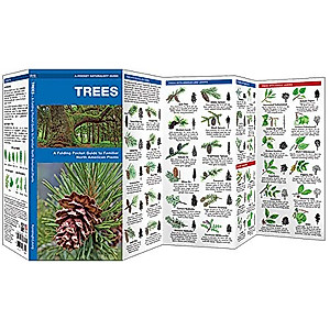 Trees: A Folding Pocket Guide to Familiar North American Plants (Wildlife and Nature Identification)